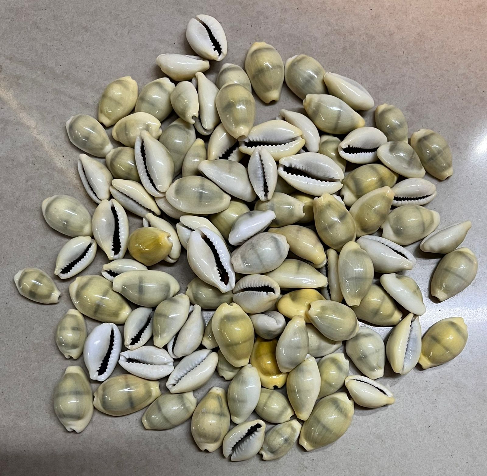 Chovi 50 piece – KnowHowArtCraft