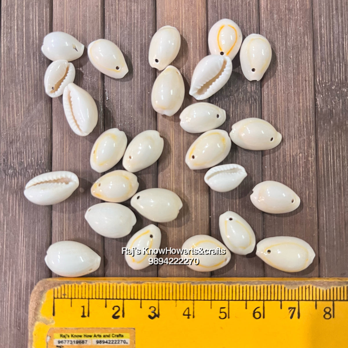 Natural single Hole cowries shell - 25gram – KnowHowArtCraft