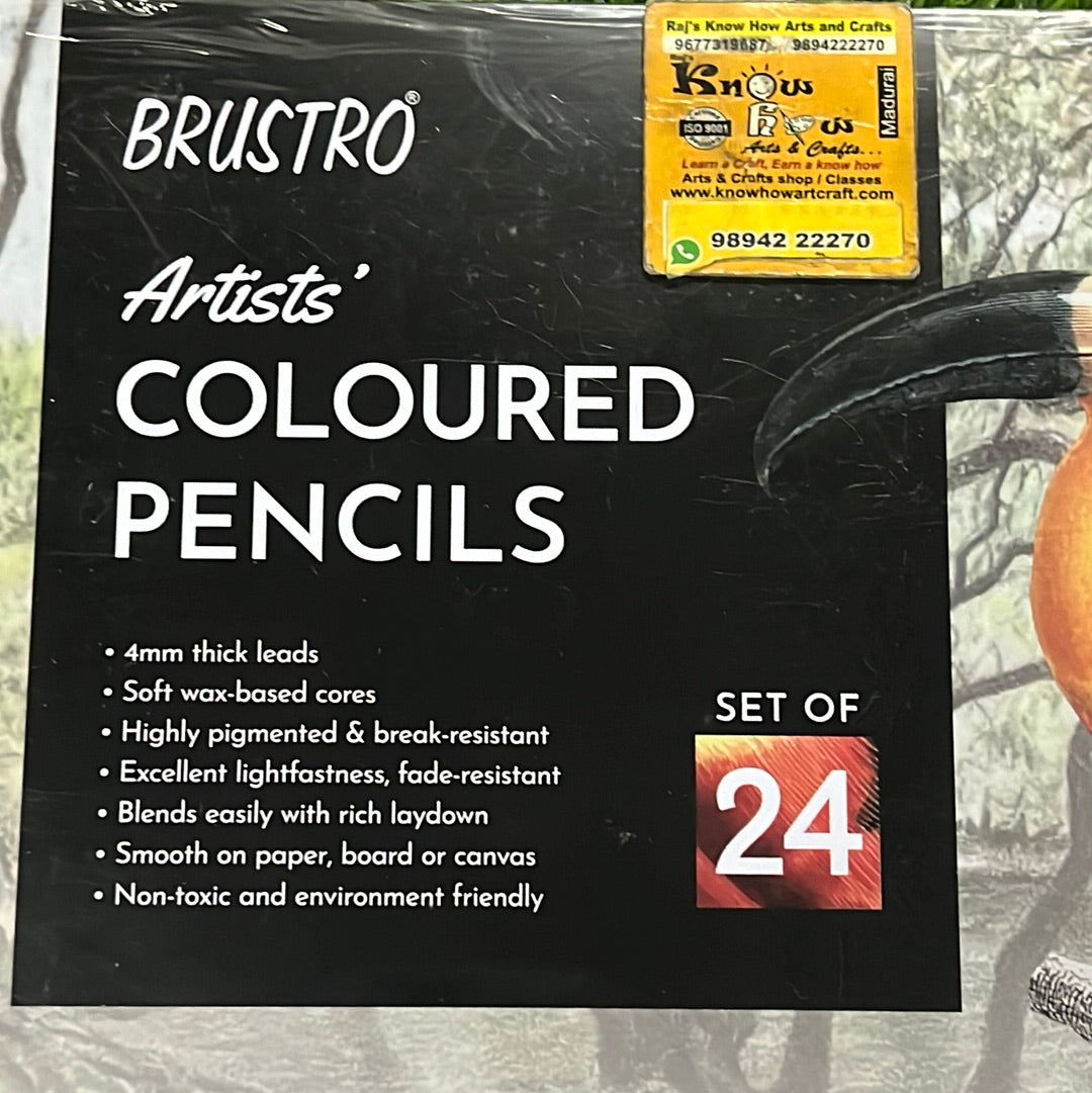Brustro artist Coloured pencils 24 shades – KnowHowArtCraft