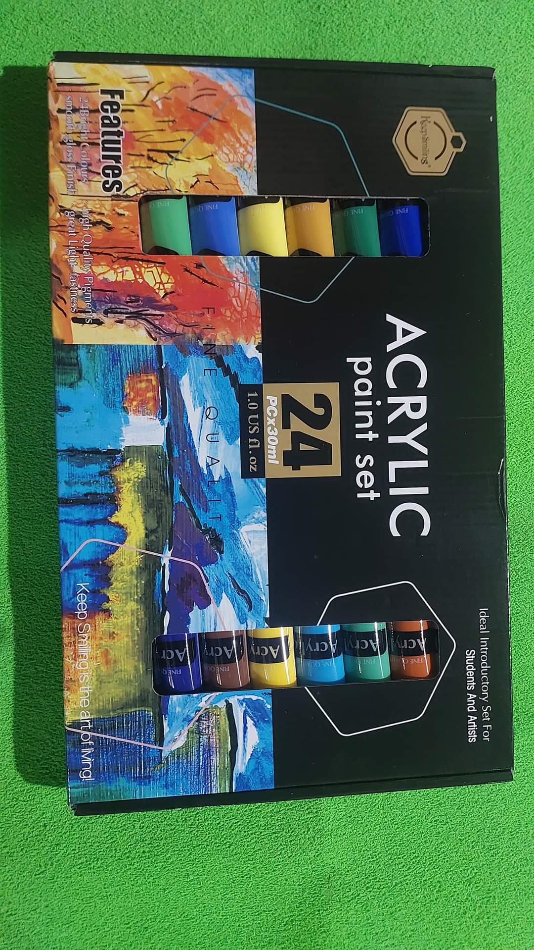 24 shade acrylic painting set